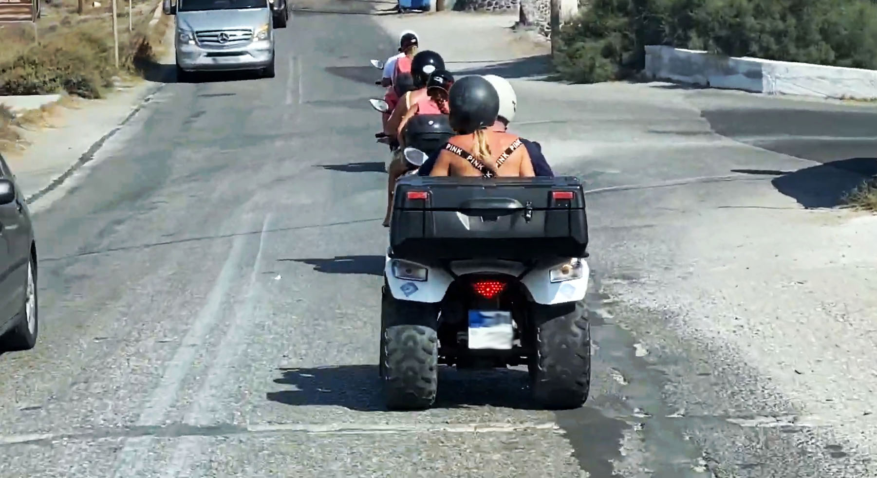 Τέλος οι ενοχλητικές γουρούνες από τα ελληνικά νησιά - Πώς η ...